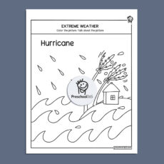 The Weather Science Activity Packet (23pages)