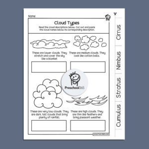 The Weather Science Activity Packet (23pages)