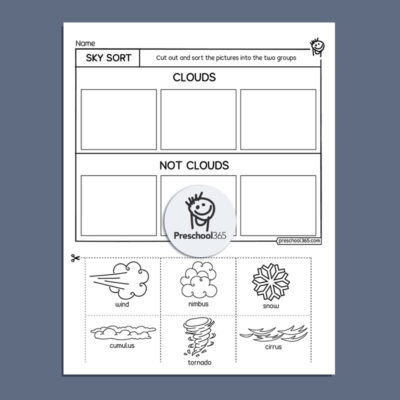 The Weather Science Activity Packet (23pages)