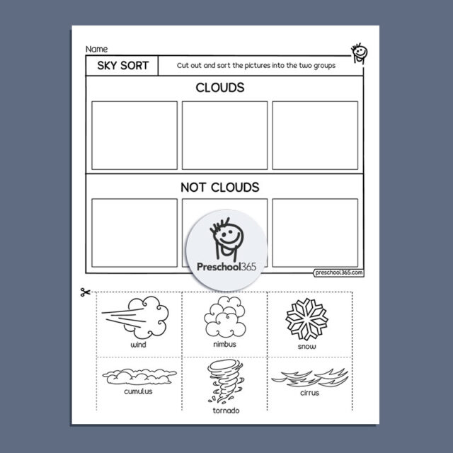 The Weather Science Activity Packet (23pages)