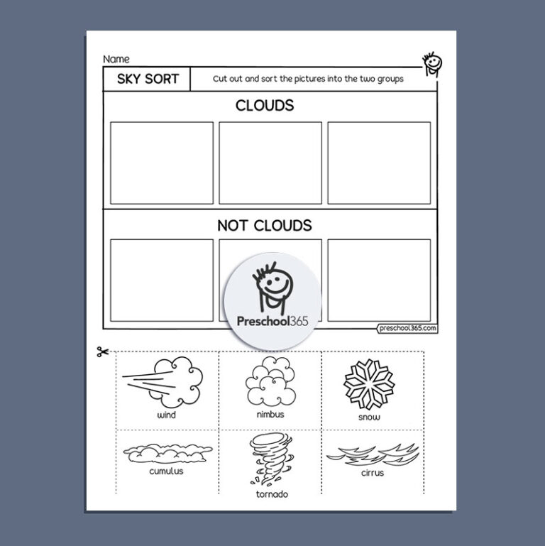The Weather Science Activity Packet (23pages)