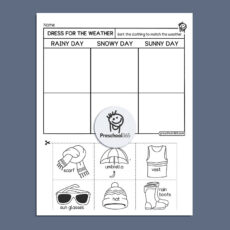 The Weather Science Activity Packet (23pages)