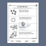The Weather Science Activity Packet (23pages)
