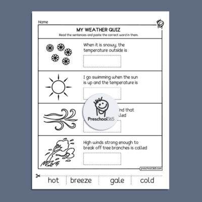 The Weather Science Activity Packet (23pages)