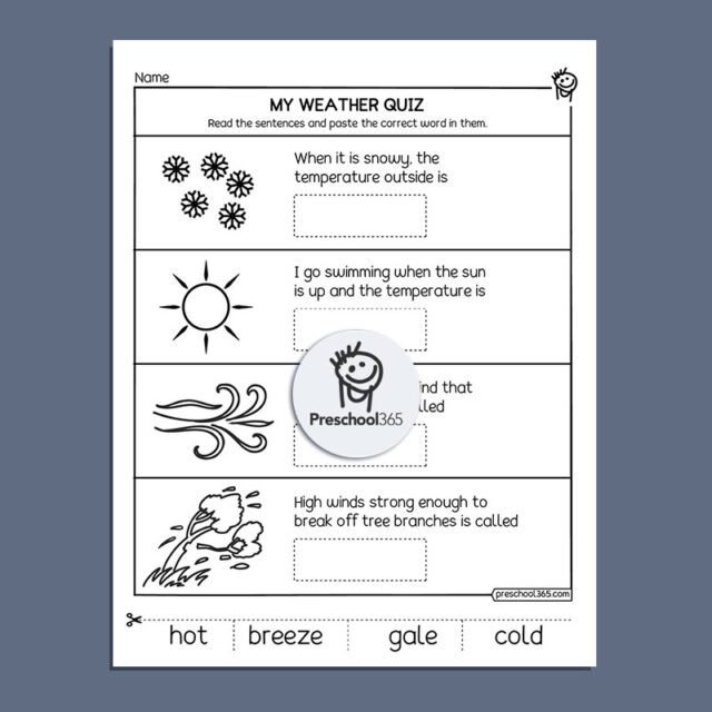 The Weather Science Activity Packet (23pages)