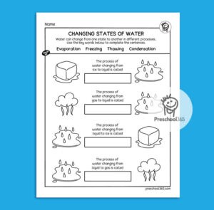 Water Science Activity Packet (14pages)
