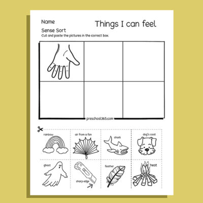 My Five Super Senses Activity Pack (20 activities)
