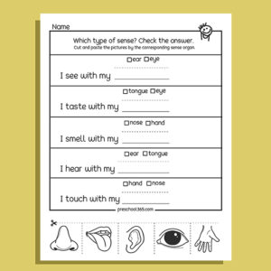 My Five Super Senses Activity Pack (20 activities)