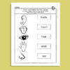 My Five Super Senses Activity Pack (18 activities)