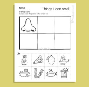 My Five Super Senses Activity Pack (18 activities)