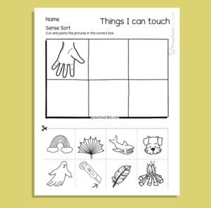 My Five Super Senses Activity Pack (18 activities)
