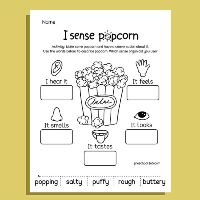 My Five Super Senses Activity Pack (20 activities)