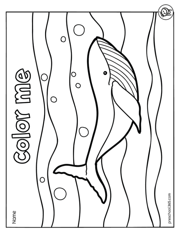 Whales preschool activities