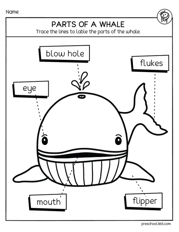 Preschool-Whales-Activities-05 | Preschool365