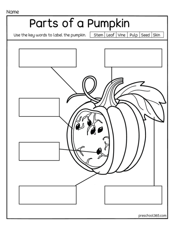Free and fun pumpkin theme activities for kindergarten and first-grade ...