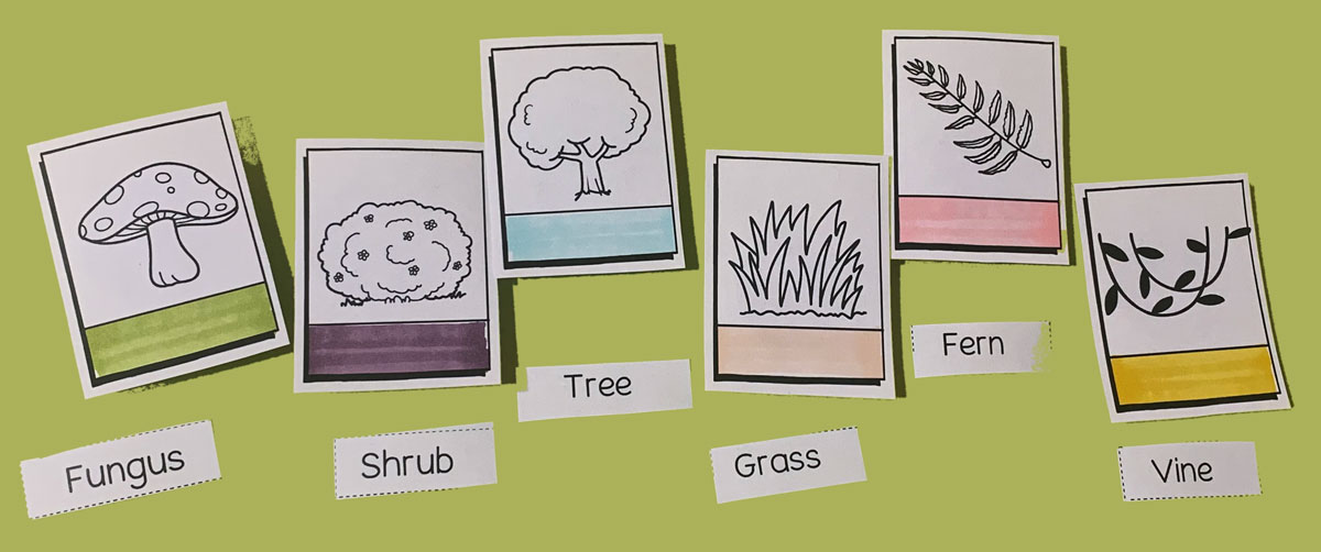 Quality Preschool, PreK and Kindergarten learning resources for ...