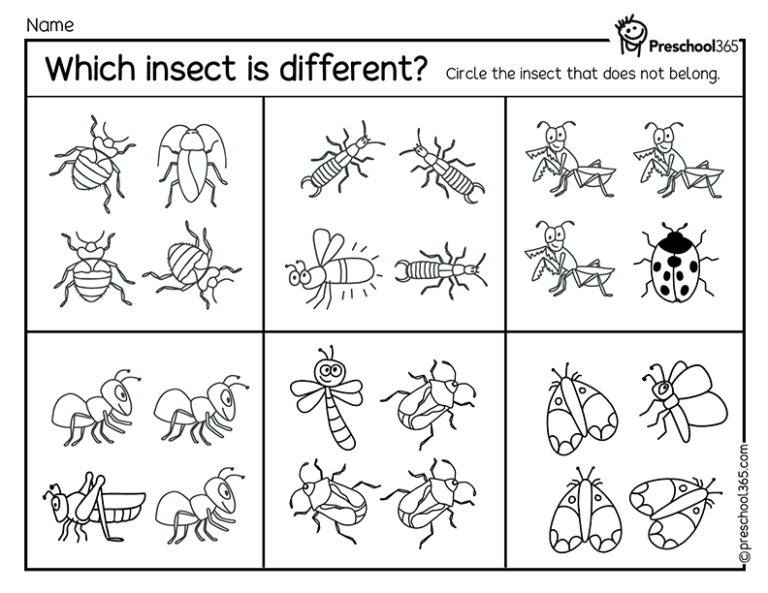 Fun Preschool Bugs or Insects Theme Activity