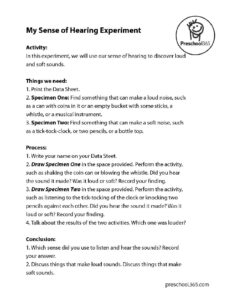 sense-of-hearing-kindergarten-experiment | Preschool365